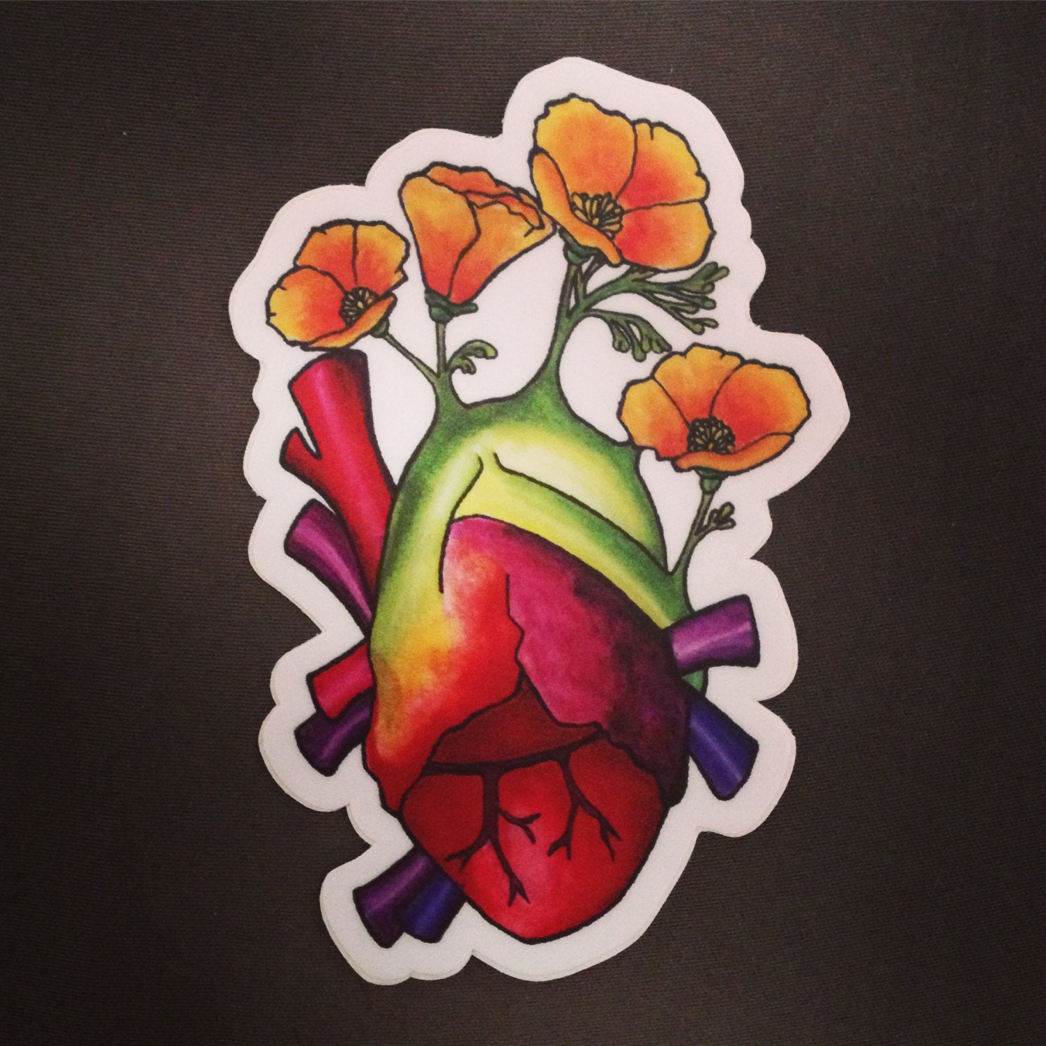 California Love Sticker – Anatomical Heart Art